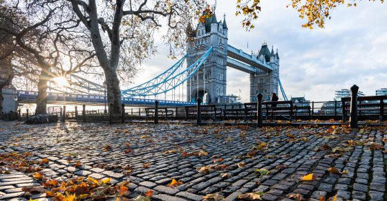 Insights - F&C Investment Trust